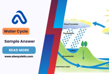 50 useful sentence structures for IELTS Writing Task 1 - alwaysielts